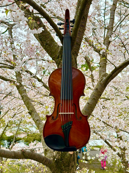 6 String Acoustic Electric Violin – Electric Violin Lutherie